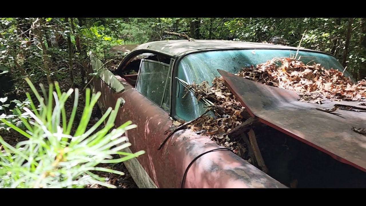 1959 Dodge in the Junk Yard? - YouTube