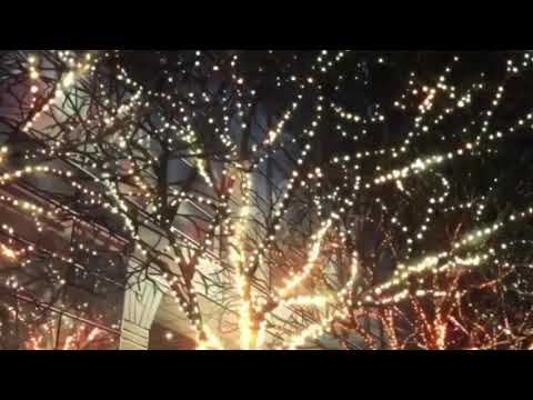 tokyo ghoul episódio 1 completo e dublado