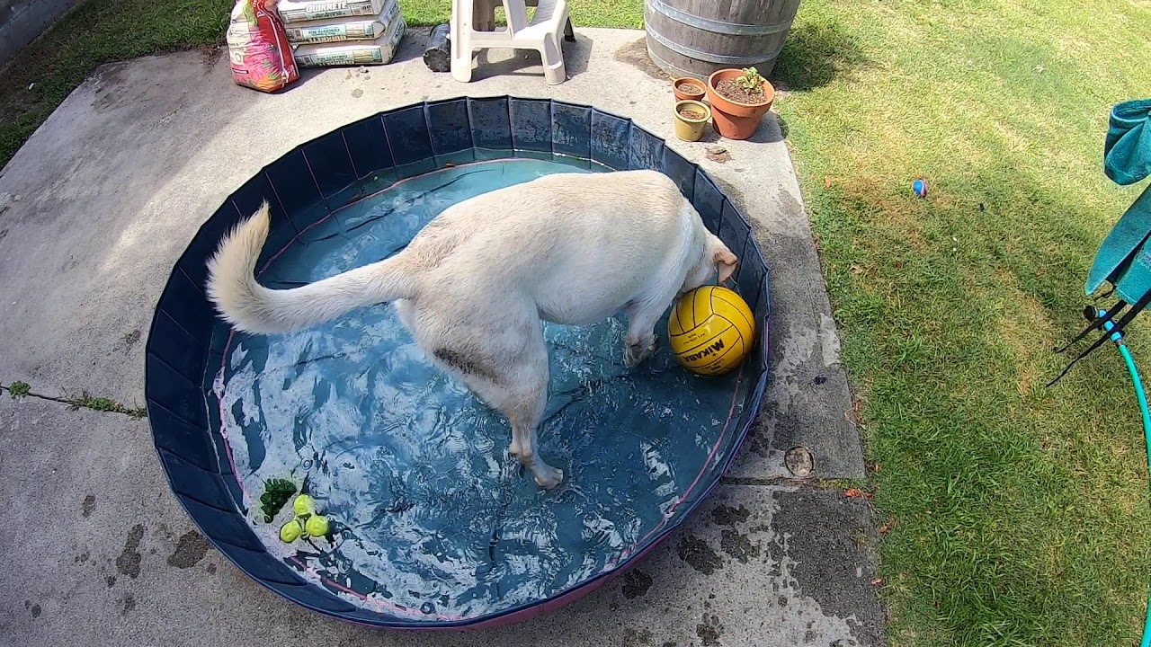 Tucker fish play - YouTube