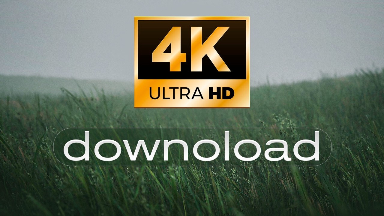 Live Wallpaper 4K Wavy Grass - YouTube