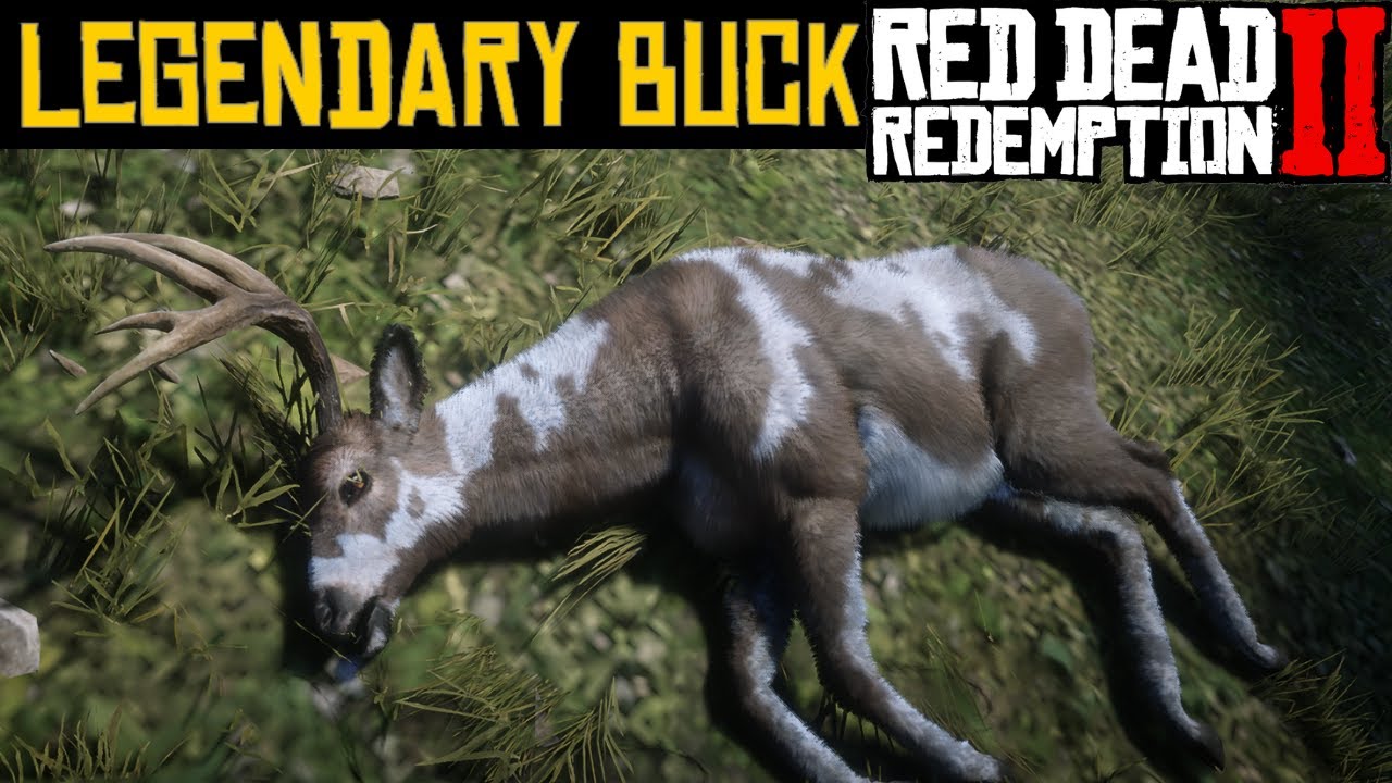 Legendary Buck | Red Dead Redemption 2 - YouTube