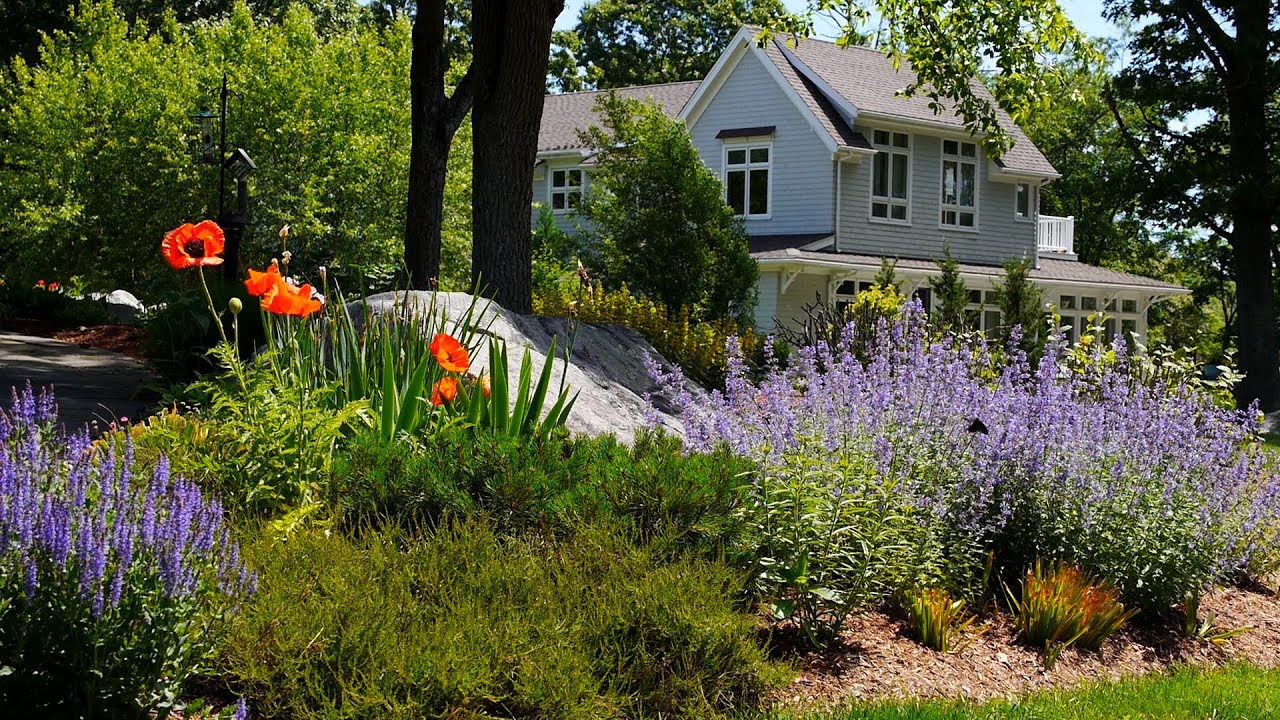 Coastal Landscape Project - YouTube