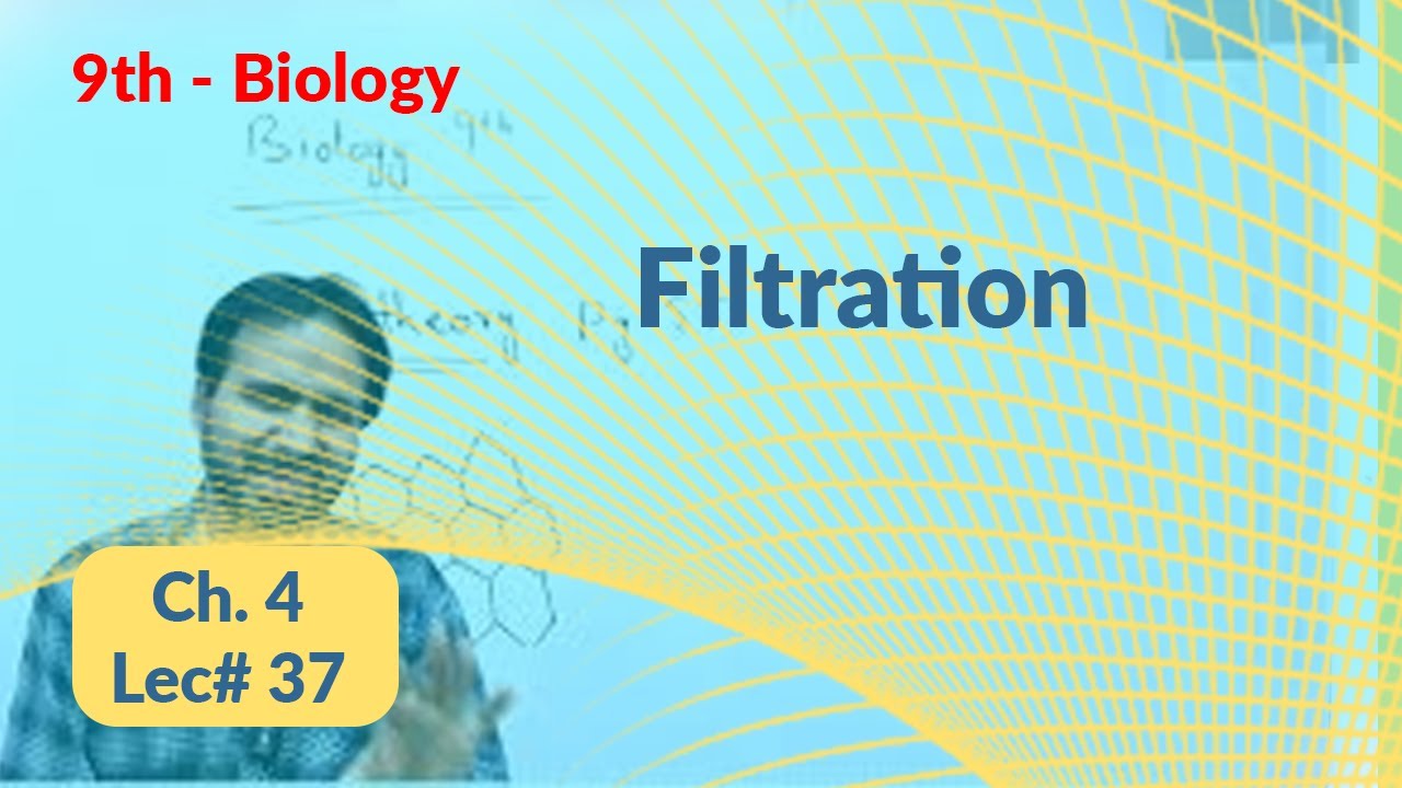 9th Biology Ch 4 filtration - 9th class Biology Ch 4 filtration - YouTube
