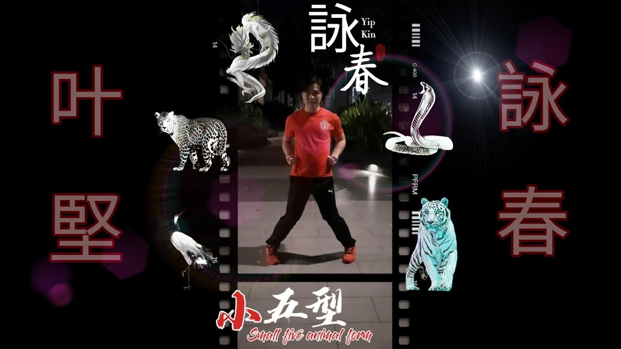 小五型拳 - 叶堅詠春(傳統詠春拳) Small Five Animal Form - Yip Kin Wing Chun (Traditional Wing Chun) - YouTube