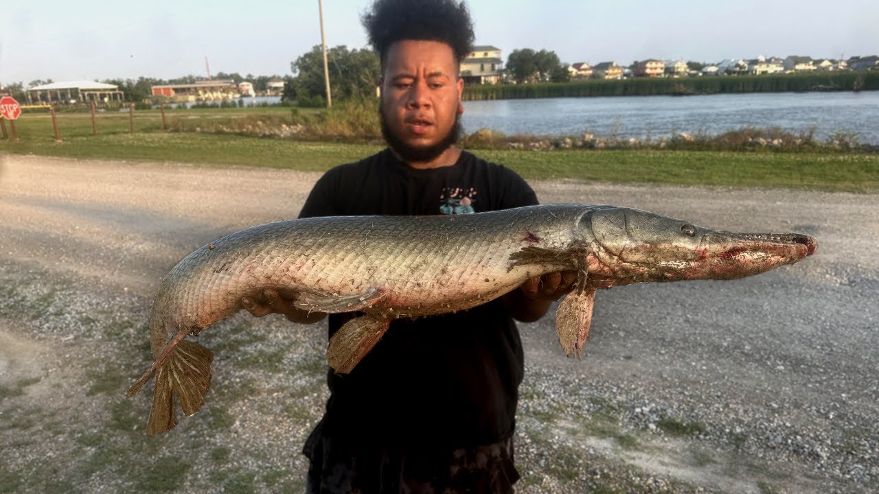 Big Toothy Fish Hiding In Small Bayou - YouTube