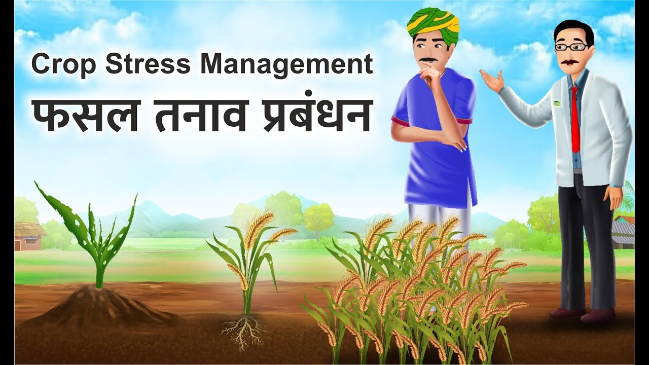 क्या आप फसलों में अजैविक तनाव के बारे में जानते है? | Abiotic Plant ...