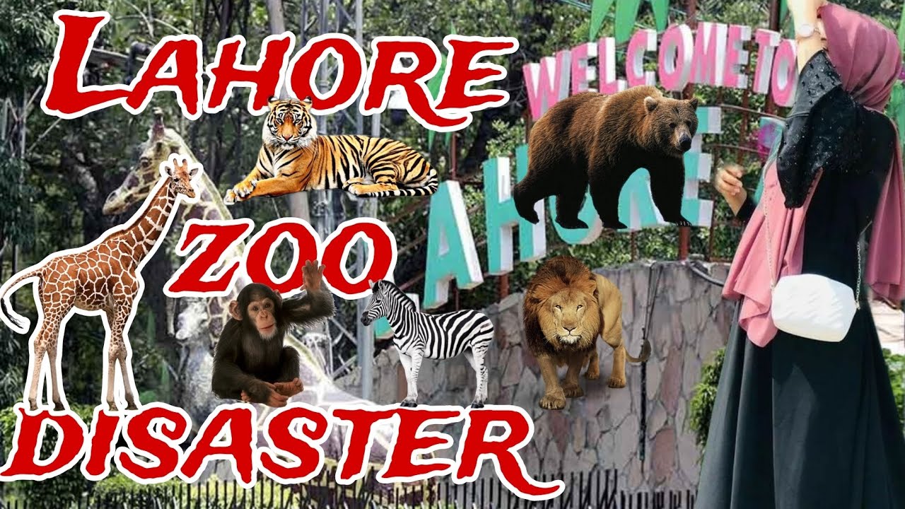 Lahore zoo new Look|Zoo without animals 🦁 - YouTube