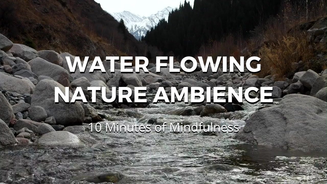 10 Minute Reset| Relaxing River Water Flowing Sounds| Sleep, Focus ...