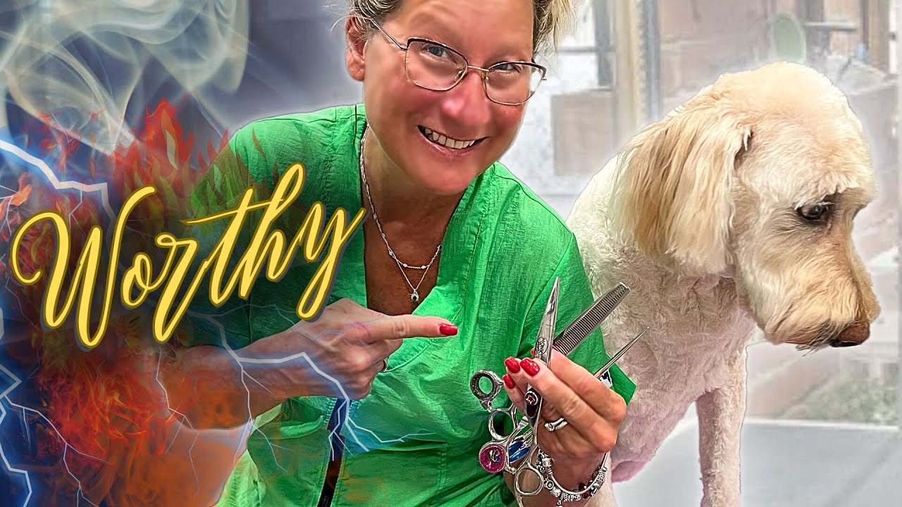 Choosing the RIGHT Dog Grooming Shears: Your Breed Guide! - Dogsguide.blog