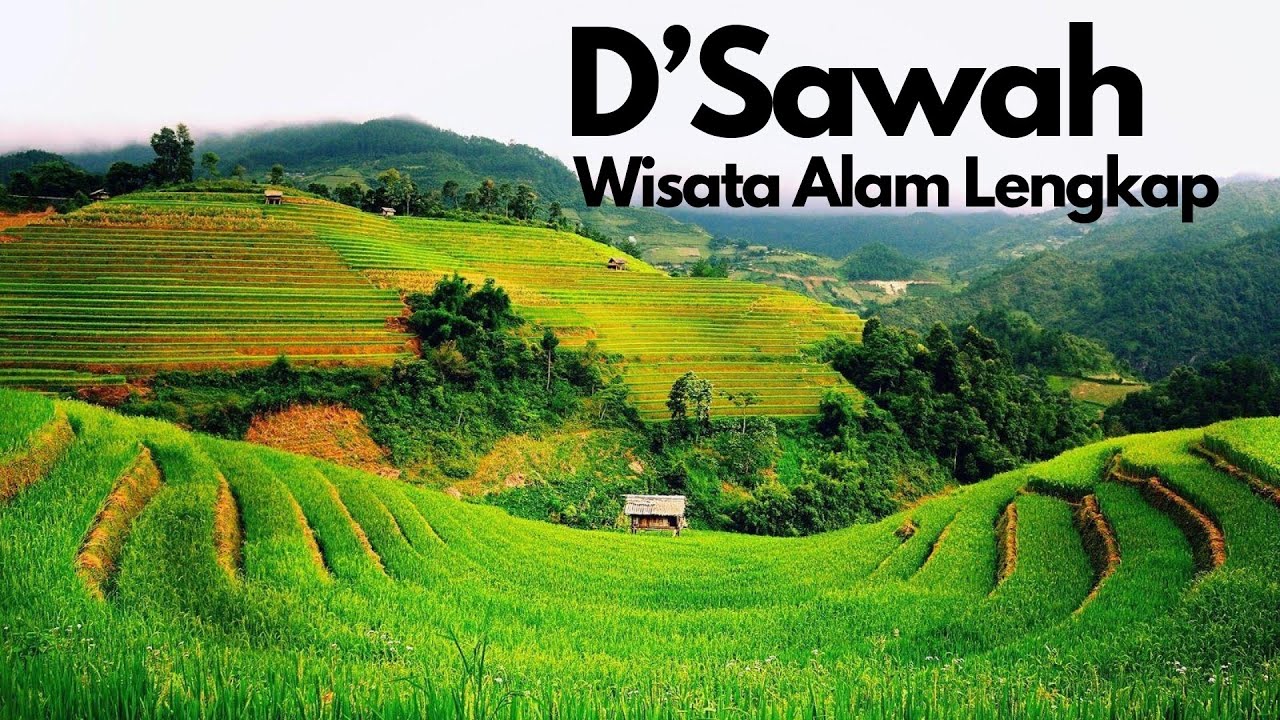 Makan, Ngopi, Dan Staycation Di Tengah Sawah Bogor: Experience D'sawah ...