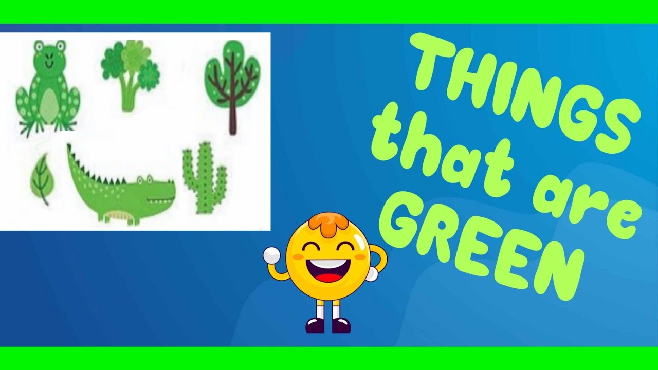 THINGS THAT ARE GREEN (Learn Green Objects) Green Colour and Objects ...