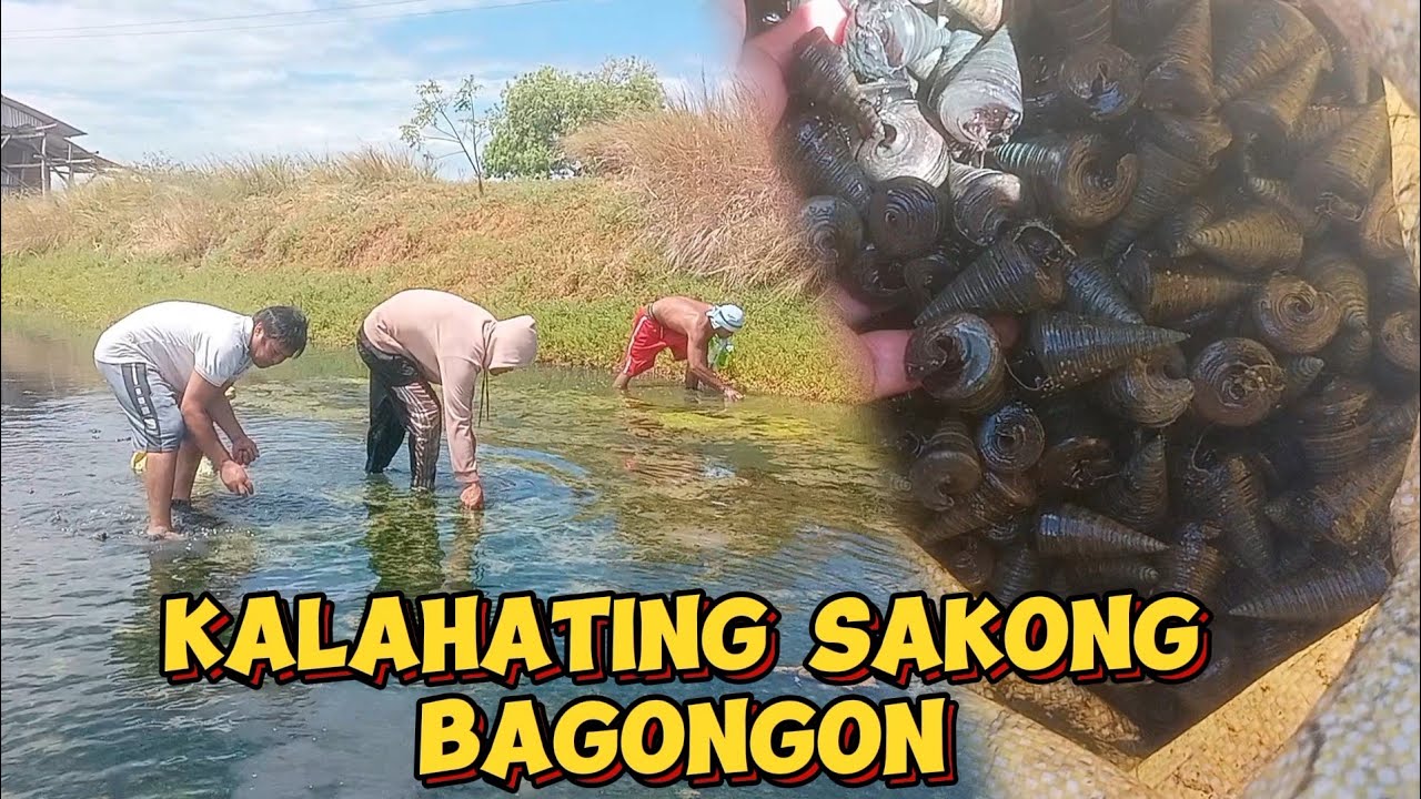 KALAHATING SAKONG BAGONGON ANG NAKOHA NAMIN! - YouTube