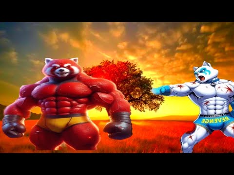 Big Bad Cat Fighting|| New Fight Videos - YouTube