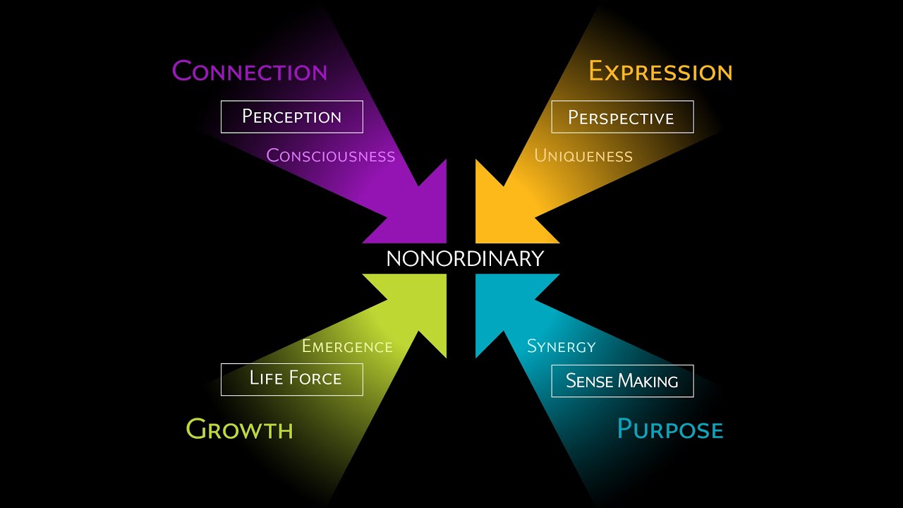 The MetaSkills - YouTube