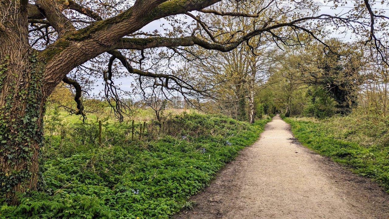 Whitegate Way April 2024 - YouTube