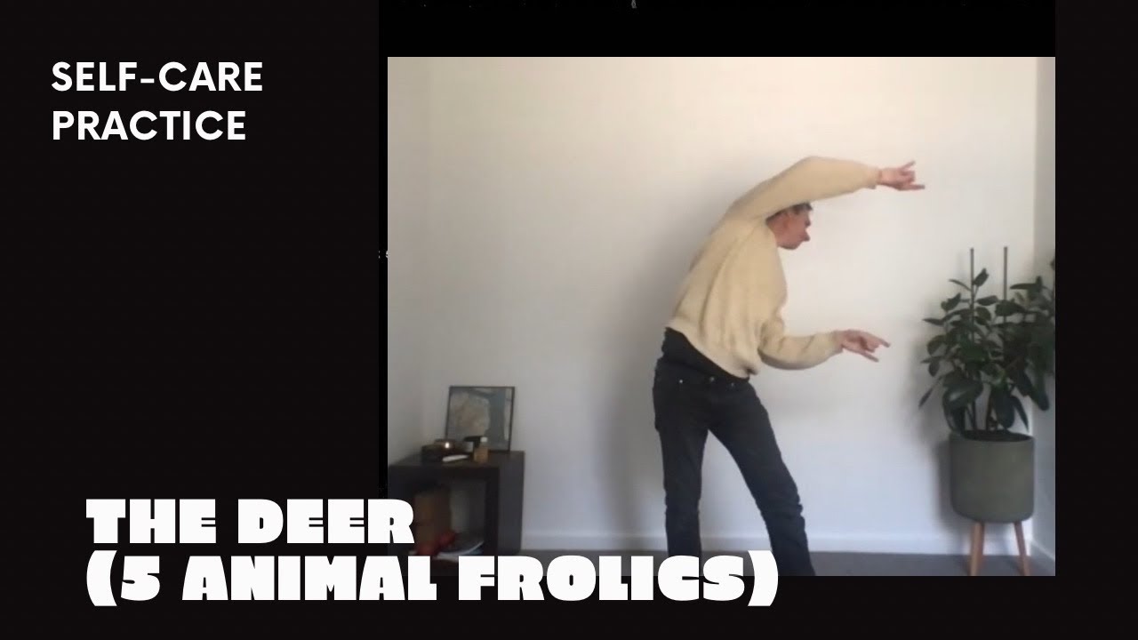 The Deer (5 Animal Frolics Qigong) - YouTube