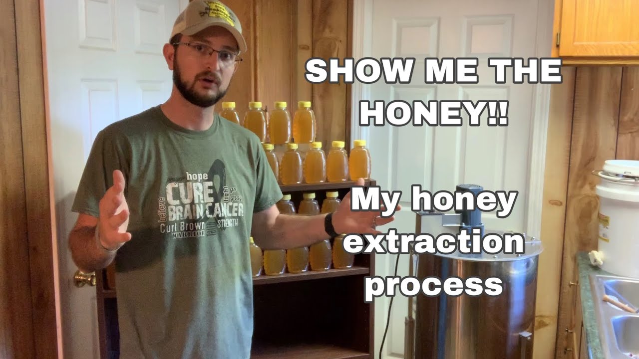 SHOW ME THE HONEY! My honey extraction process - YouTube