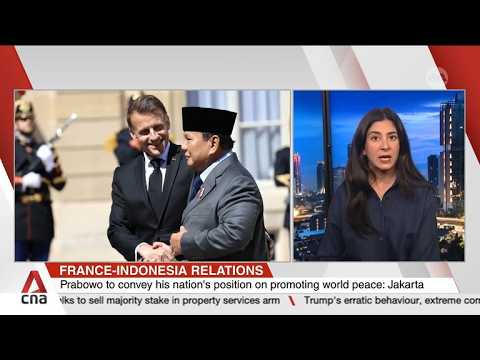 Indonesia's Prabowo to meet France's Macron at Elysee Palace to discuss strategic cooperation
