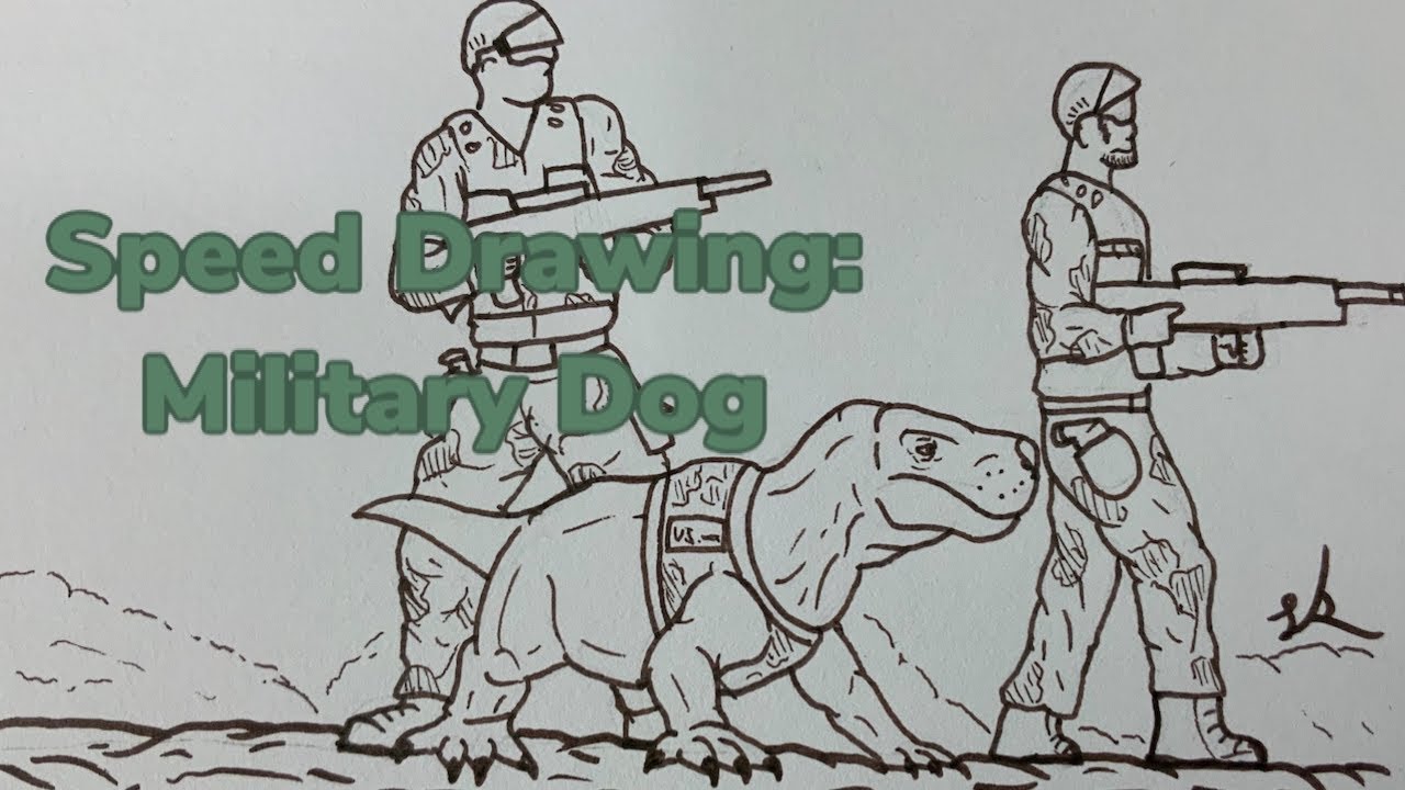 Military Dog | Speed drawing - YouTube