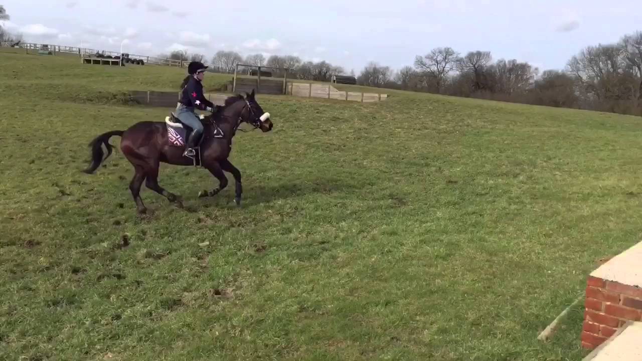 |Dee| Trow Lane Cross Country Schooling - YouTube