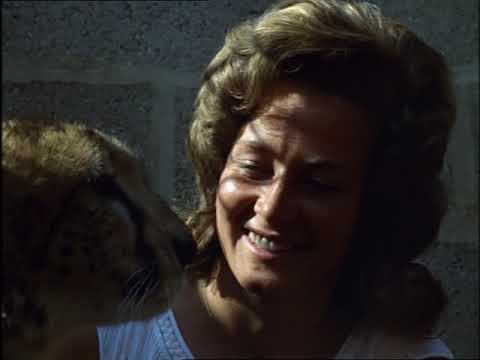 Look at Life Vol 3 Science You can't catch much from a fish 1963 - YouTube