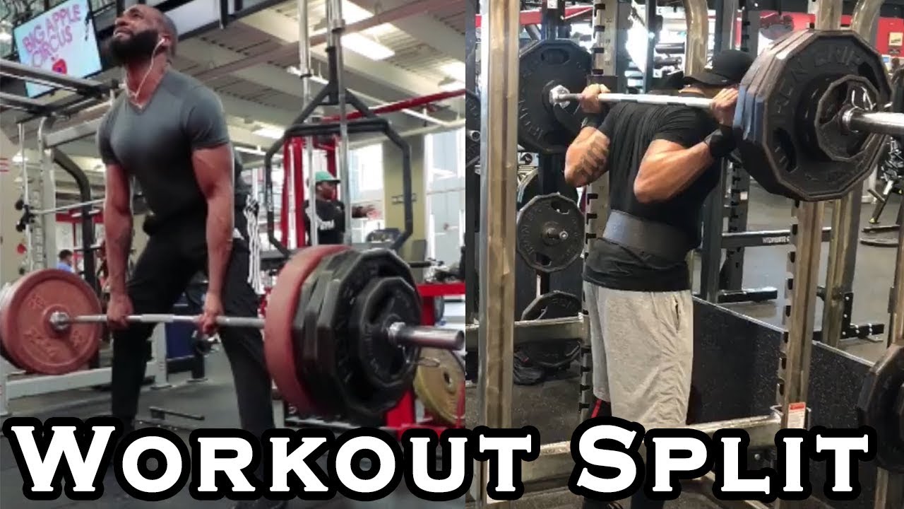 Best 5 Day Workout Split - YouTube