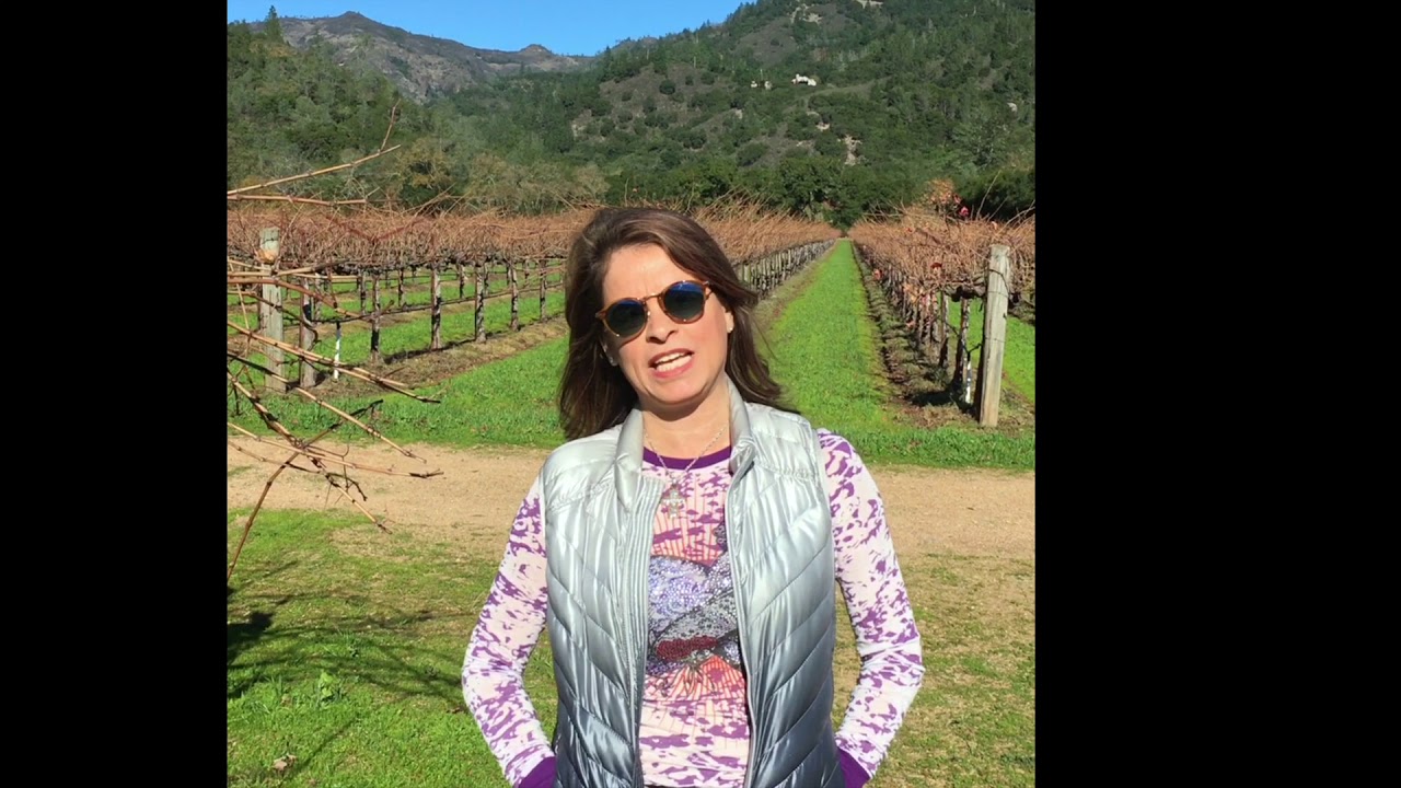 Switchback Ridge - Quail Napa Gala 2018 - YouTube