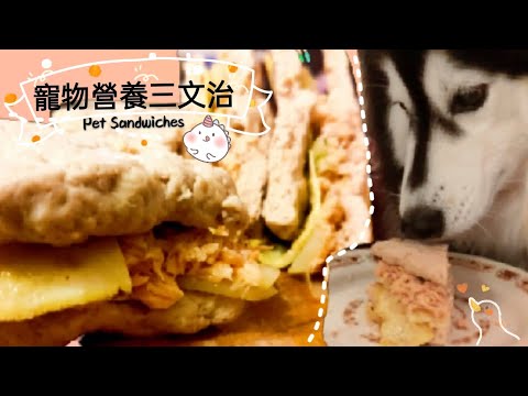 [小尾巴的生活]Pet Sandwiches 宠物营养三文治|小尾巴养生营养鲜食零食堂 - YouTube