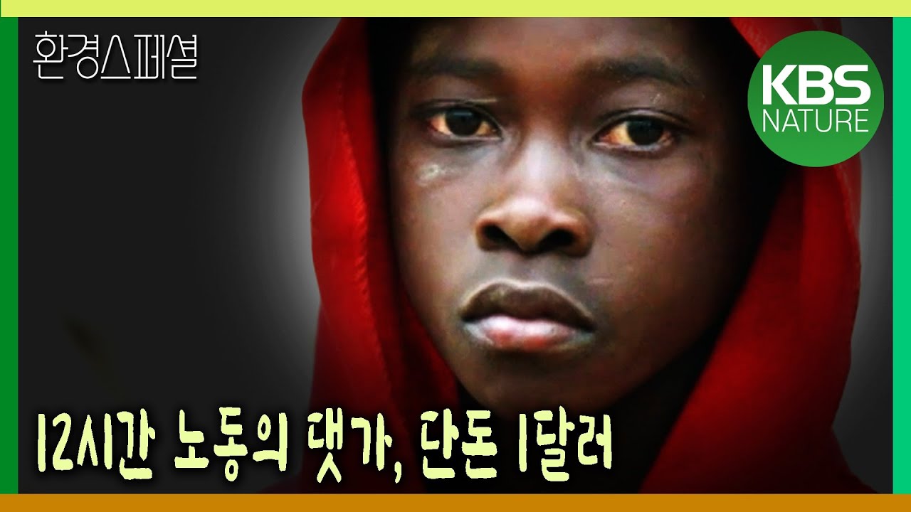 하루 12시간 노동, 임금은 단돈 1달러 [UHD환경스페셜2 6편 데드존-아이를 위한 지구는 없다] / KBS 20230128 방송 - YouTube