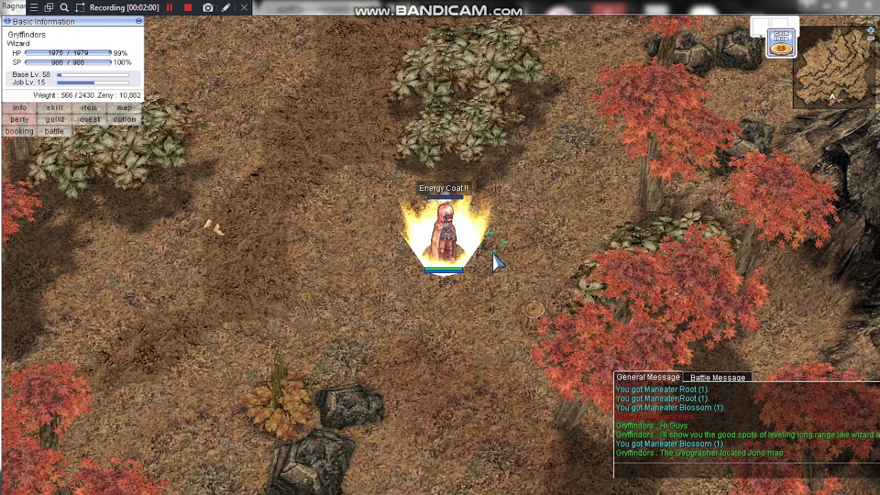 Ragnarok online long range character leveling spot map - YouTube