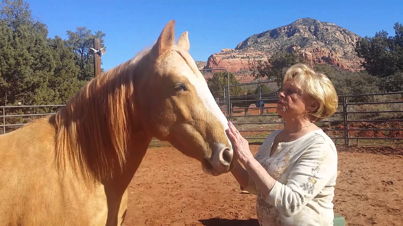 Equine facilitated leadership: Being in the now. - YouTube