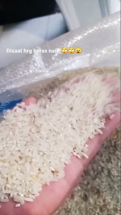 harga beras melambung - YouTube