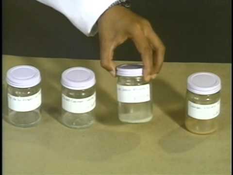 Microscopia directa de frotis ácidorresistente - Programa de formación ...