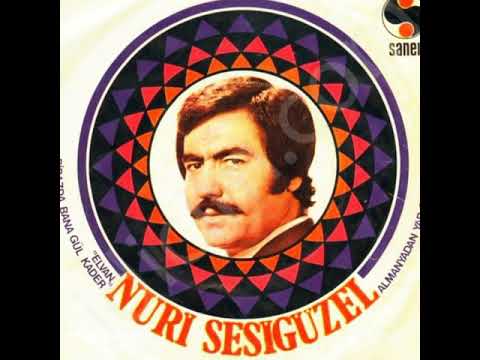Nuri sesigüzel..Eli develi.(u.h.)