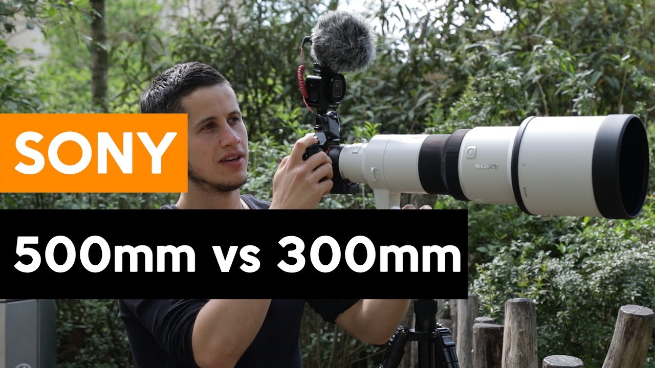 Sony 500mm F4 G SSM | Sony 300mm F2,8 G SSM II | WILDLIFE and SPORT ...