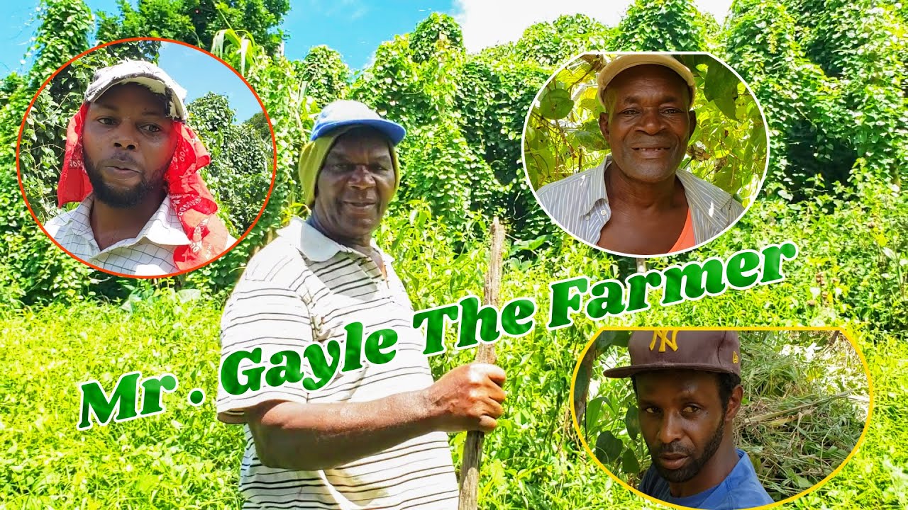 Meet Mr . Gayle from Craighead , Manchester Who Quit His Housing ...