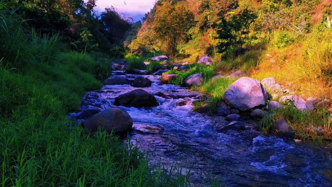 Calm River Sounds: Gentle Nature Ambiance for Relaxation, Sleep, and ...
