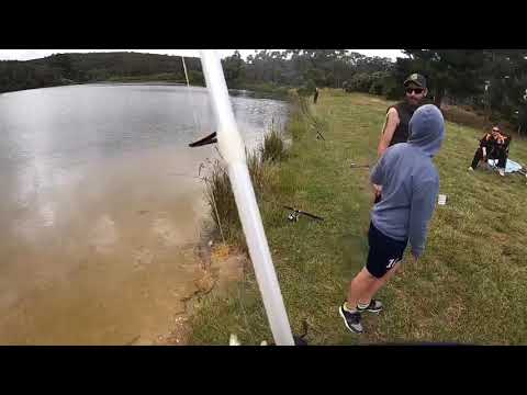 *Catching Redfin on blades and worms