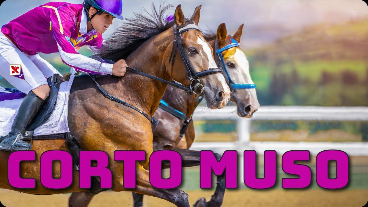 Corto Muso, Not By Design - The Day After Fiorentina - YouTube