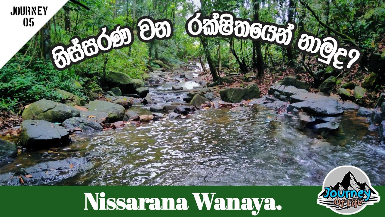 Nissarana Wanaya_ නිස්සරණ වනයේ නාන්න යමුද? - YouTube