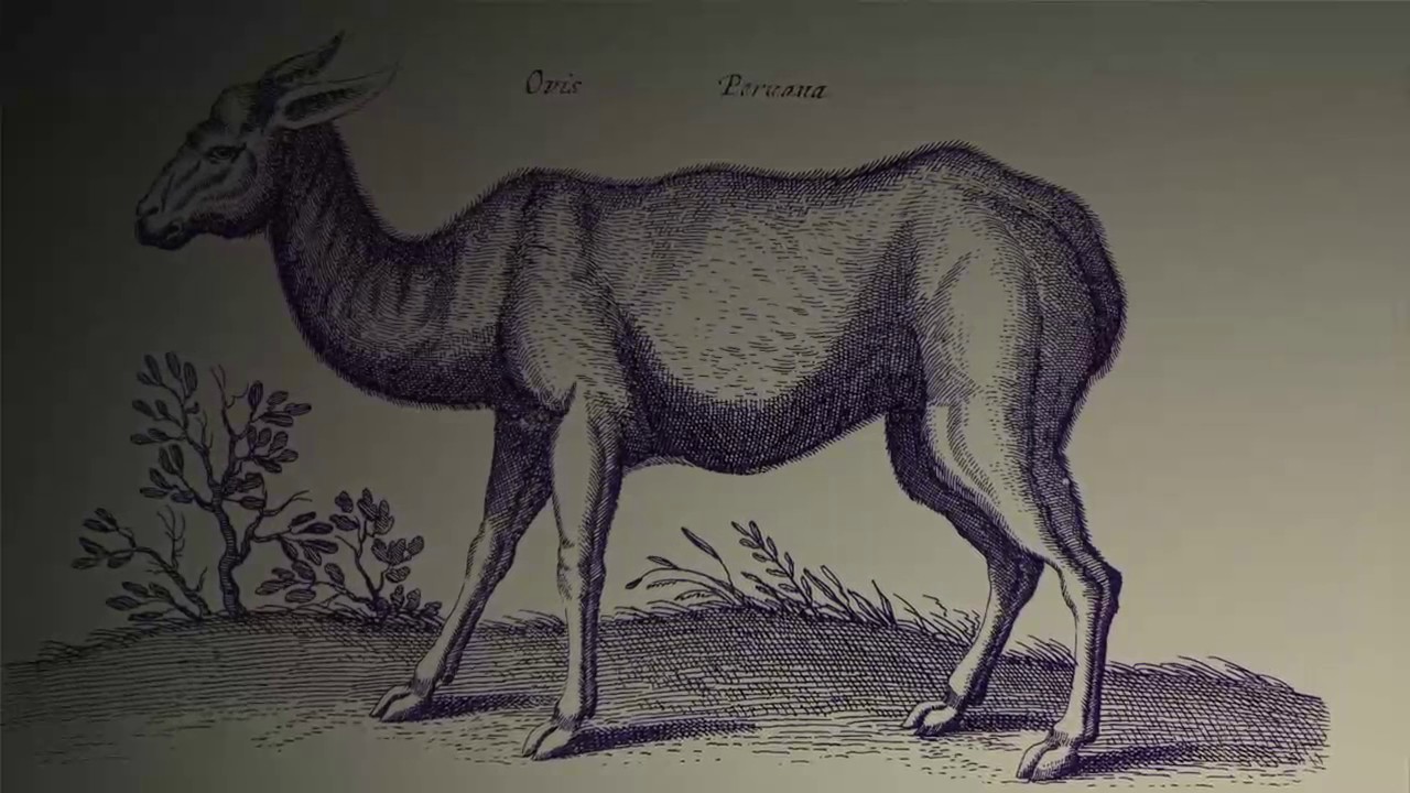 Transmisión de PS4 en vivo de BemBona_SwaG-PR - YouTube