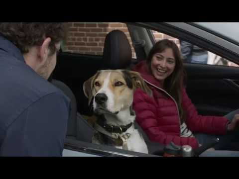 2018 Subaru Crosstrek | Subaru Commercial | Welcome to the Pack Extended