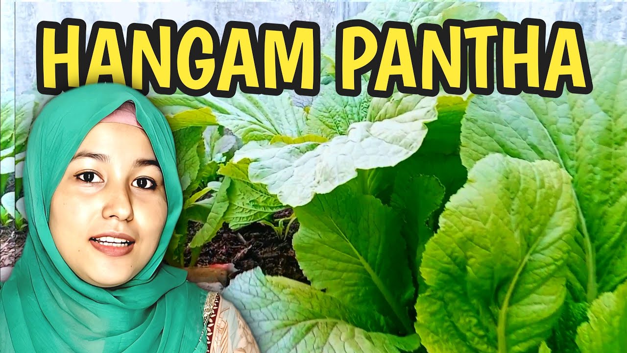 HANGAM THONGBA & THOIDING SUBA II INGTHAMTHA GI RECIPE II MANIPURI II ...