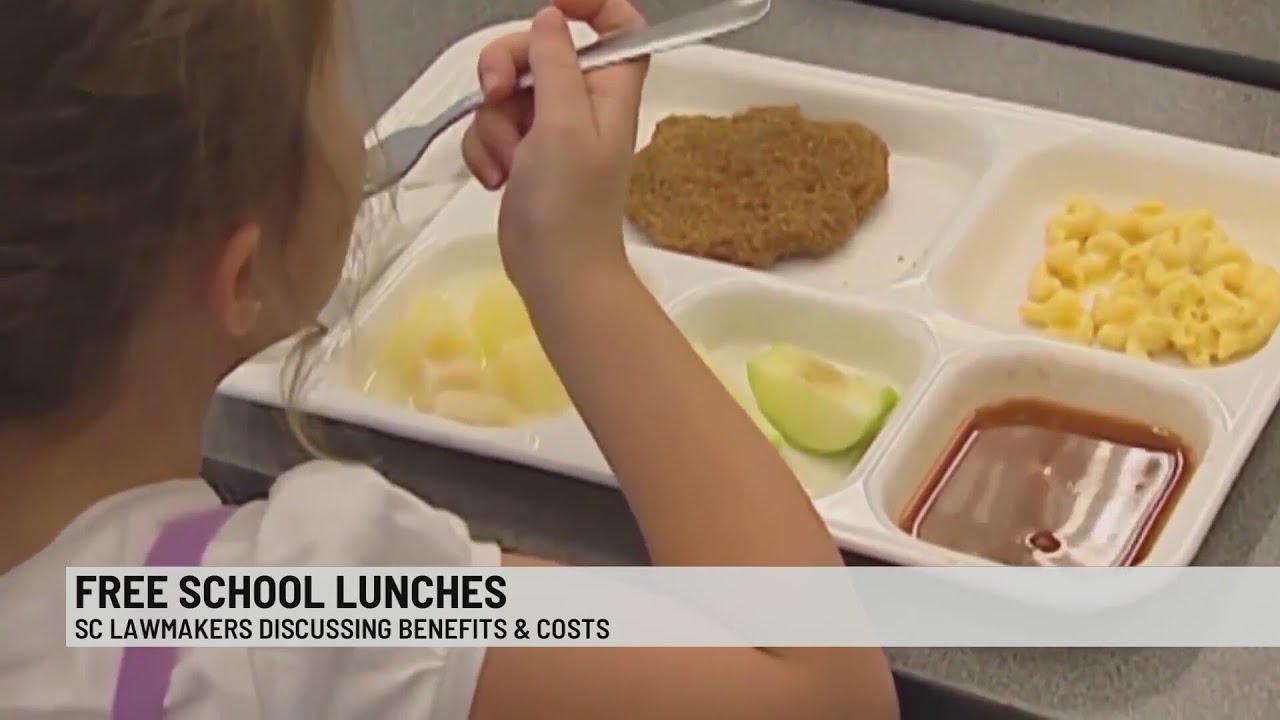 SC lawmakers studying impact of universal free school meals - YouTube