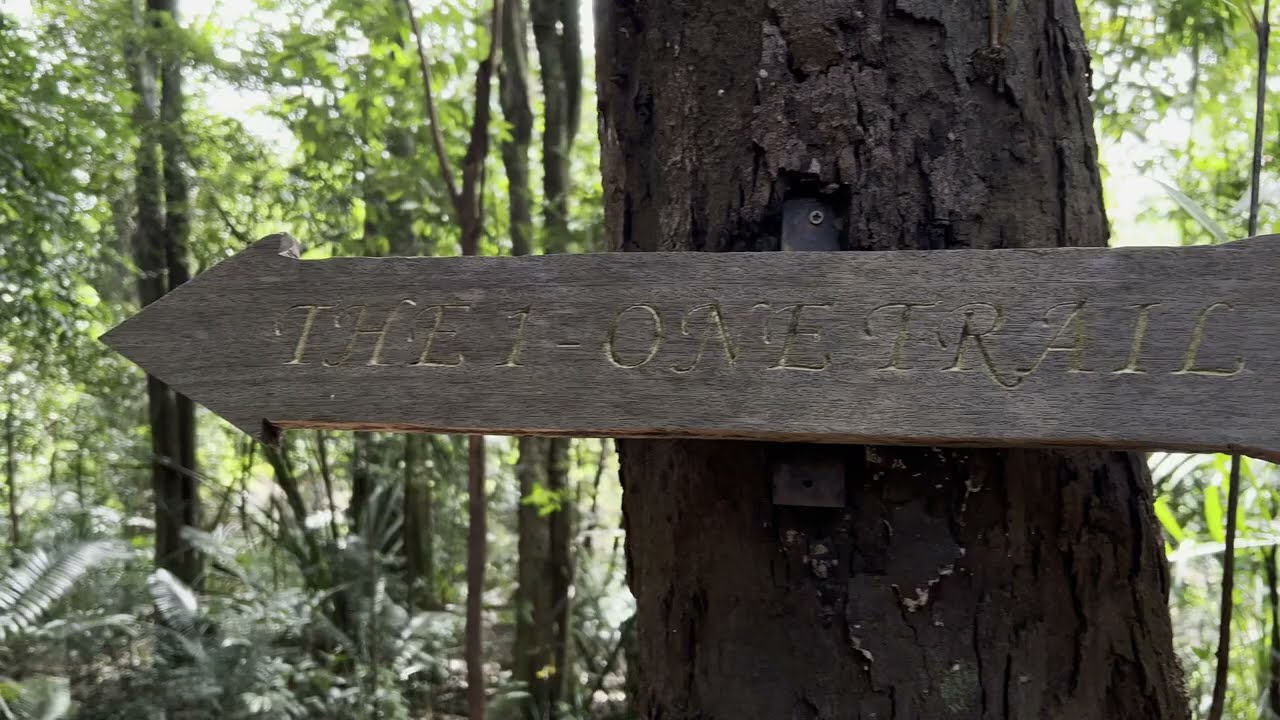 Hiking Bukit Beruang @ Bear Hill May 2022 - YouTube