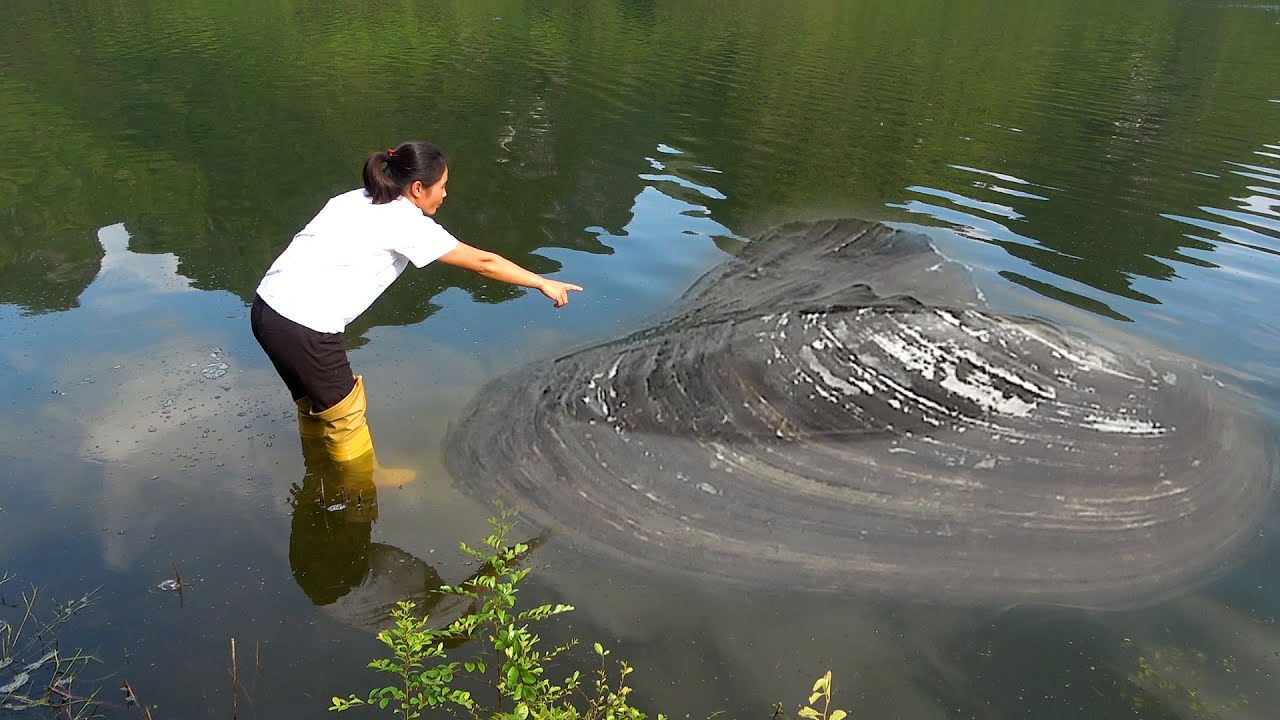 Potamilus capax appears in the reservoir, and the beautiful woman ...