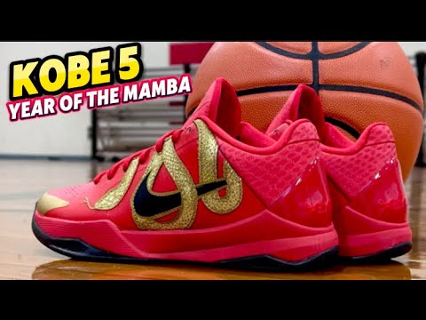 FIRST LOOK! Kobe 5 Year of the Mamba University Red S2 batch review! 🔥🔥 ...