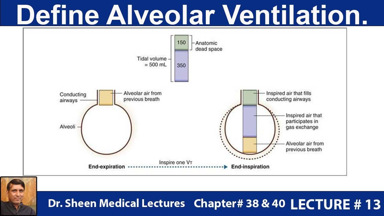 Define Alveolar Ventilation. CH # 38 & 40 LEC # 13 - YouTube