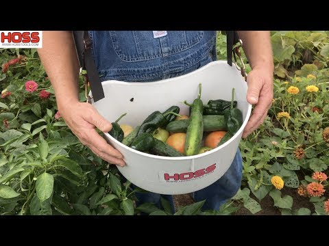 The Best Way to Harvest Your Fruits and Vegetables - YouTube