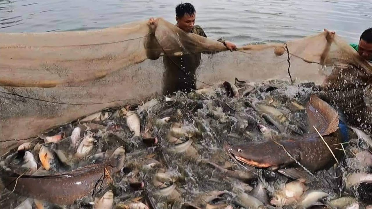 QUYEN FISHING216 The whole village shout n pull the net to catch 5ton ...